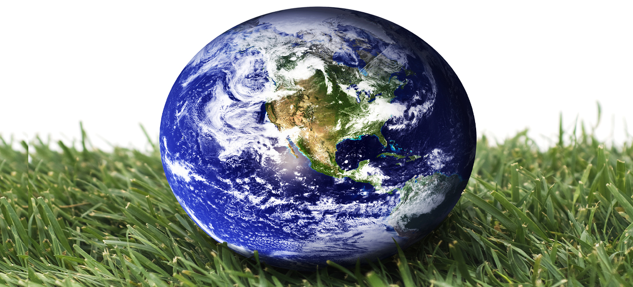 About Alpha Waste Disposal – Alpha Waste Disposal